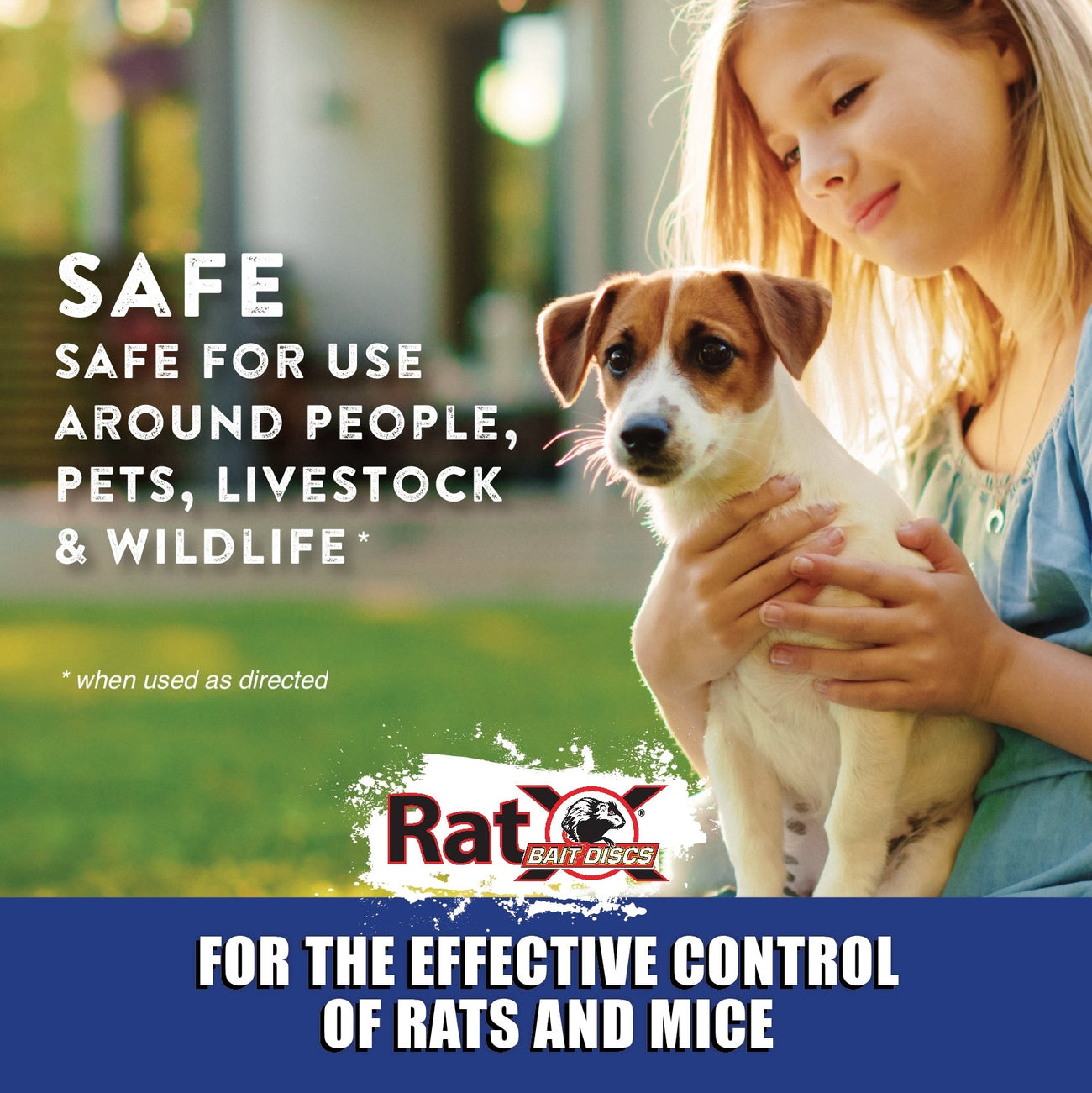 RatX® Bait Discs