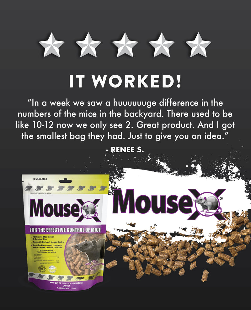MouseX Wood Traps: Humane & Effective Mouse Control