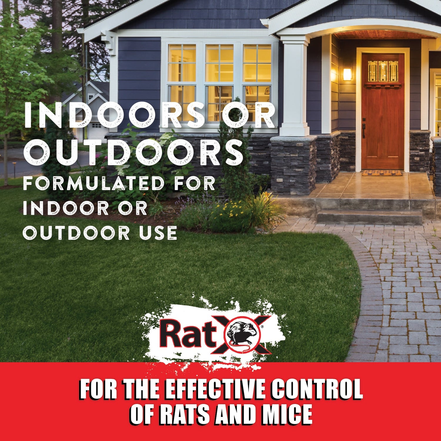RatX Throw Packs: Convenient & Safe Rat Control