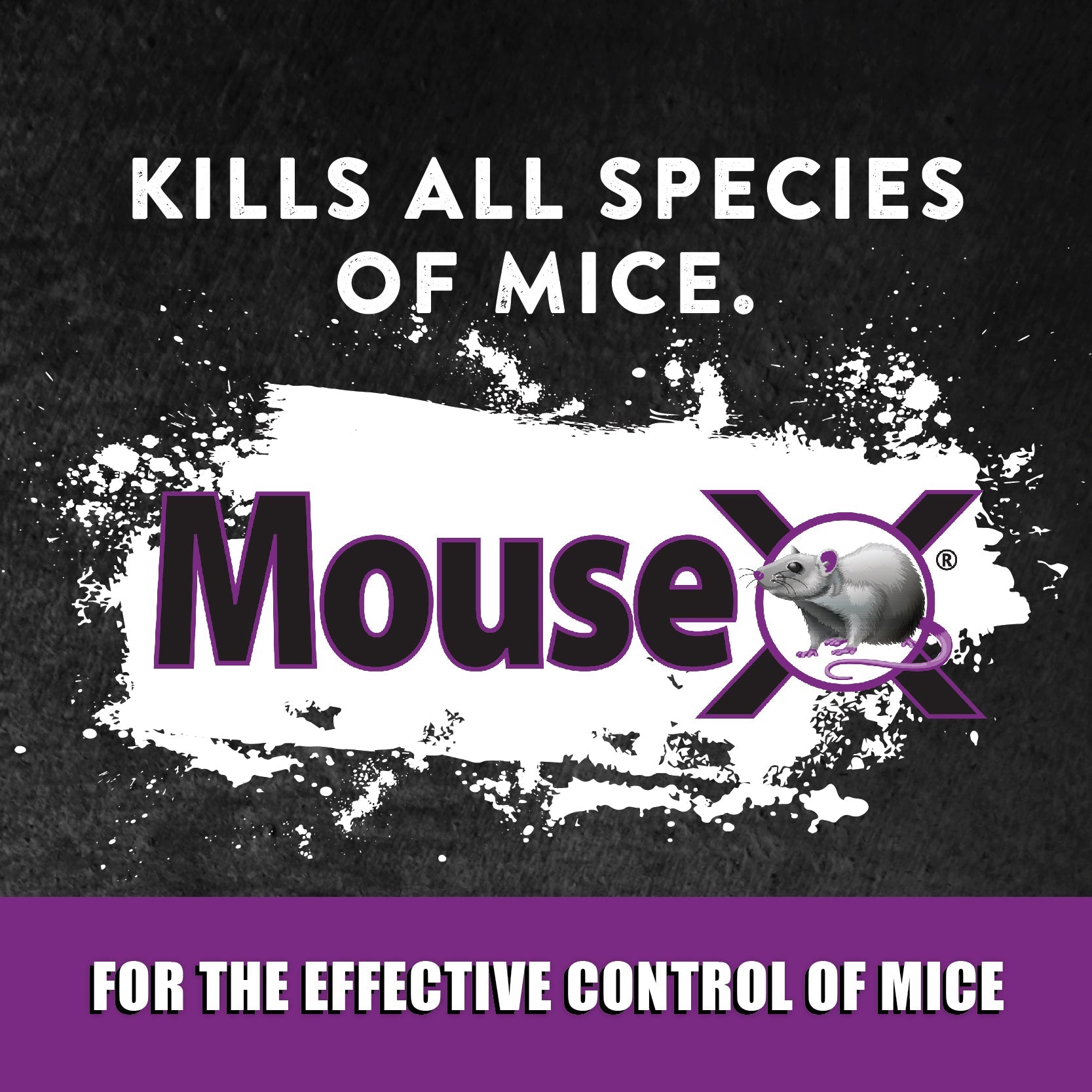 MouseX - Indoor & Outdoor Mouse Control