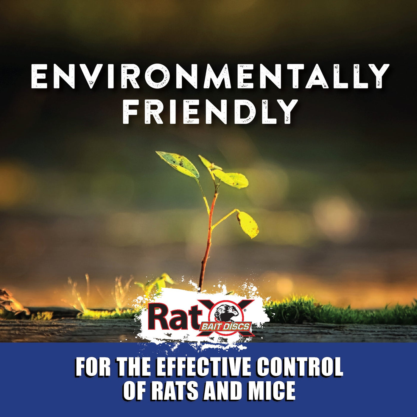 RatX® Bait Discs