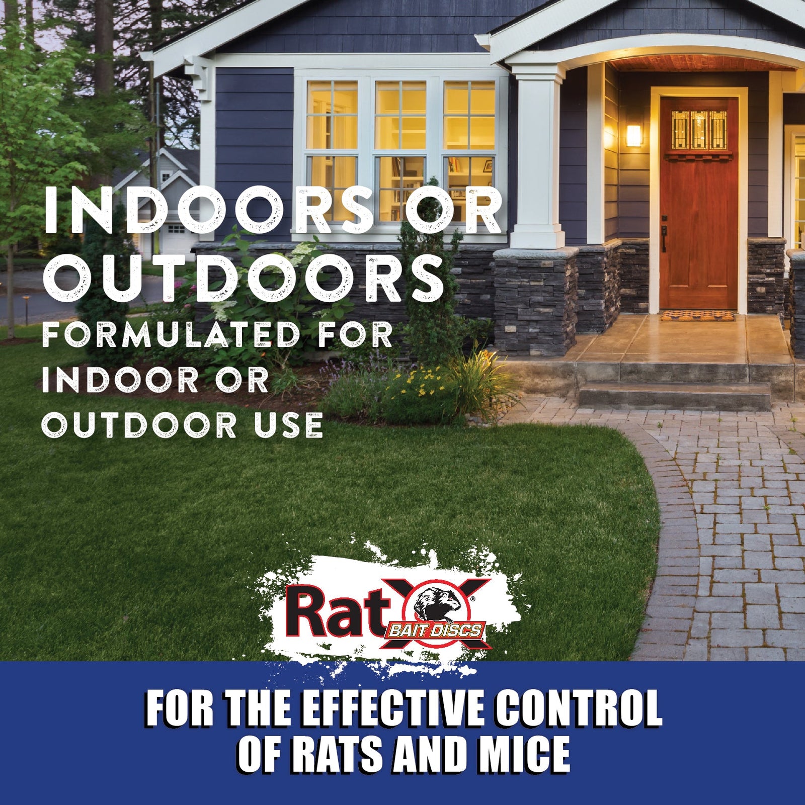 RatX® Bait Discs