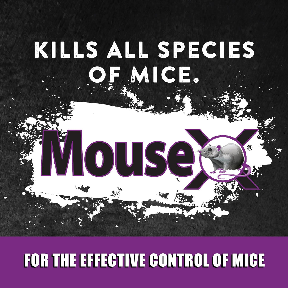 MouseX® Pellets - Eco-Friendly Rodent Extermination