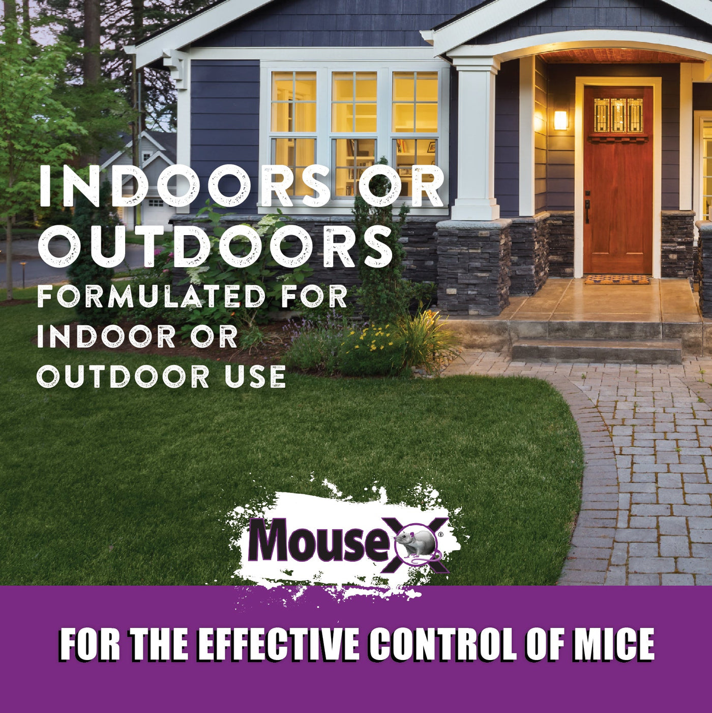 MouseX Throw Packs: Easy & Safe Mouse Control